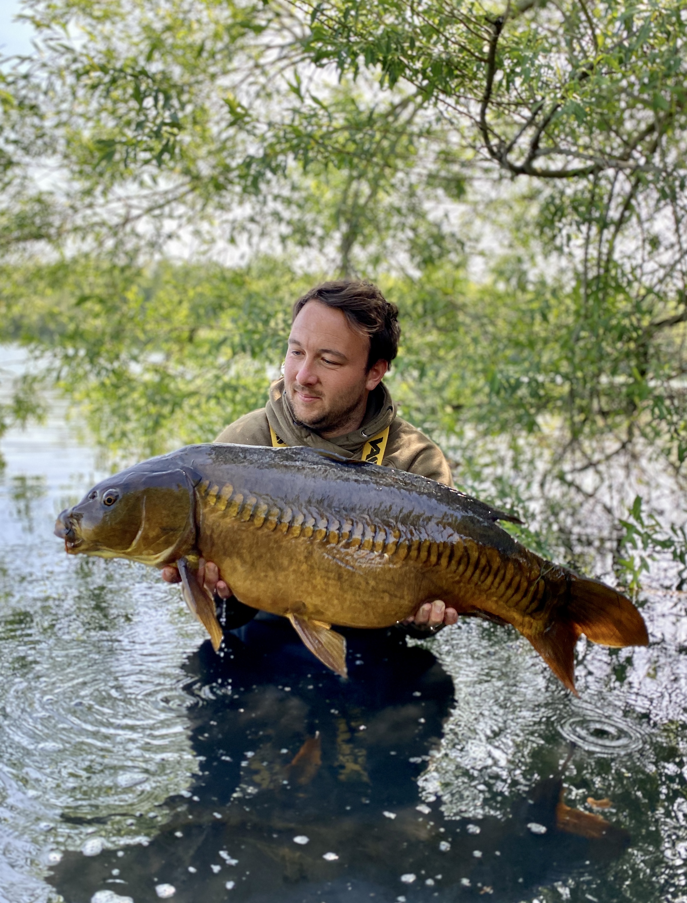 linear’s linear | Total Carp